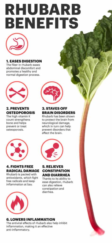 What Is Rhubarb? Benefits, Nutrition Facts, Recipes and More - Dr. Axe