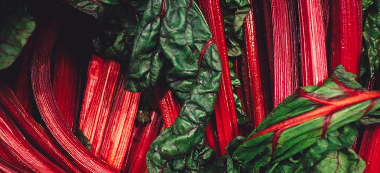 What Is Rhubarb? Benefits, Nutrition Facts, Recipes and More - Dr. Axe