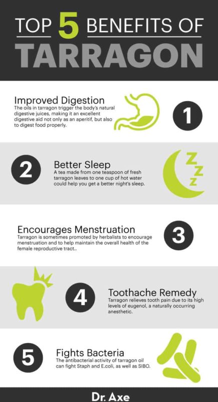 Tarragon Benefits, Nutrition and How to Use - Dr. Axe