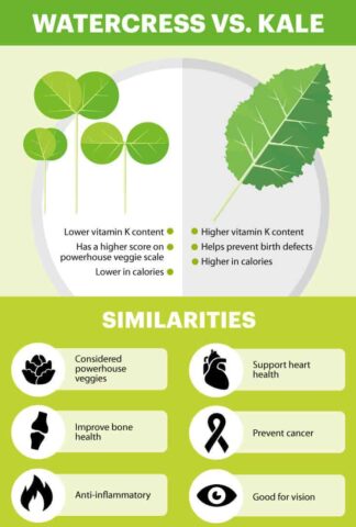 Watercress Benefits, Nutrition, How to Use, Recipes, Side Effects