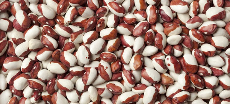 Anasazi Beans Nutrition, Health Benefits and How to Cook - Dr. Axe
