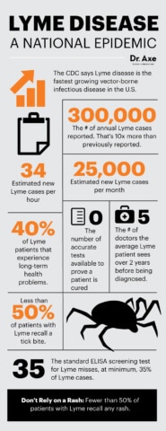 Lyme Disease Symptoms, Causes and Facts - Dr. Axe