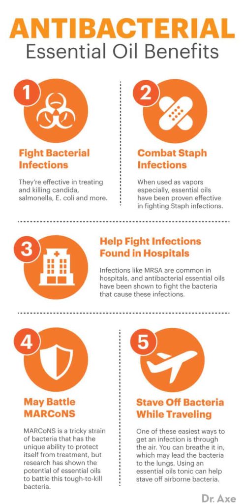 Top 4 Antibacterial Essential Oils - Dr. Axe