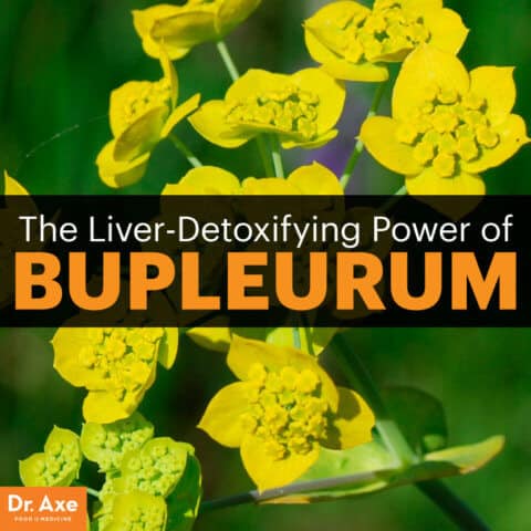 Bupleurum Benefits: Boost Liver Health and Fight Cancer - Dr. Axe