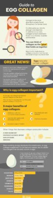 Egg Collagen Benefits, Uses, Recipes and Potential Side Effects - Dr. Axe