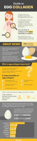 Egg Collagen Benefits, Uses, Recipes and Potential Side Effects - Dr. Axe