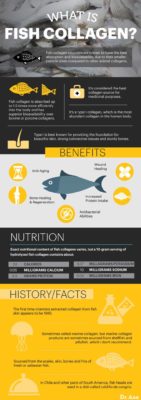 Fish Collagen vs. Other Collagen Plus Uses, Benefits and More - Dr. Axe