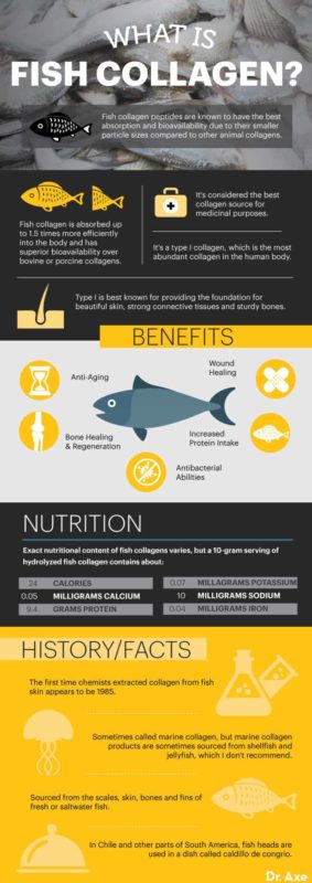 Fish Collagen vs. Other Collagen Plus Uses, Benefits and More - Dr. Axe
