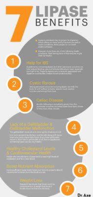 Lipase Test, Benefits, Foods, Supplements, Side Effects - Dr. Axe