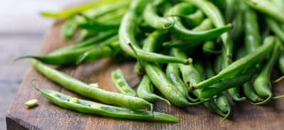Green Beans Nutrition, Benefits, Uses, Recipes and Side Effects