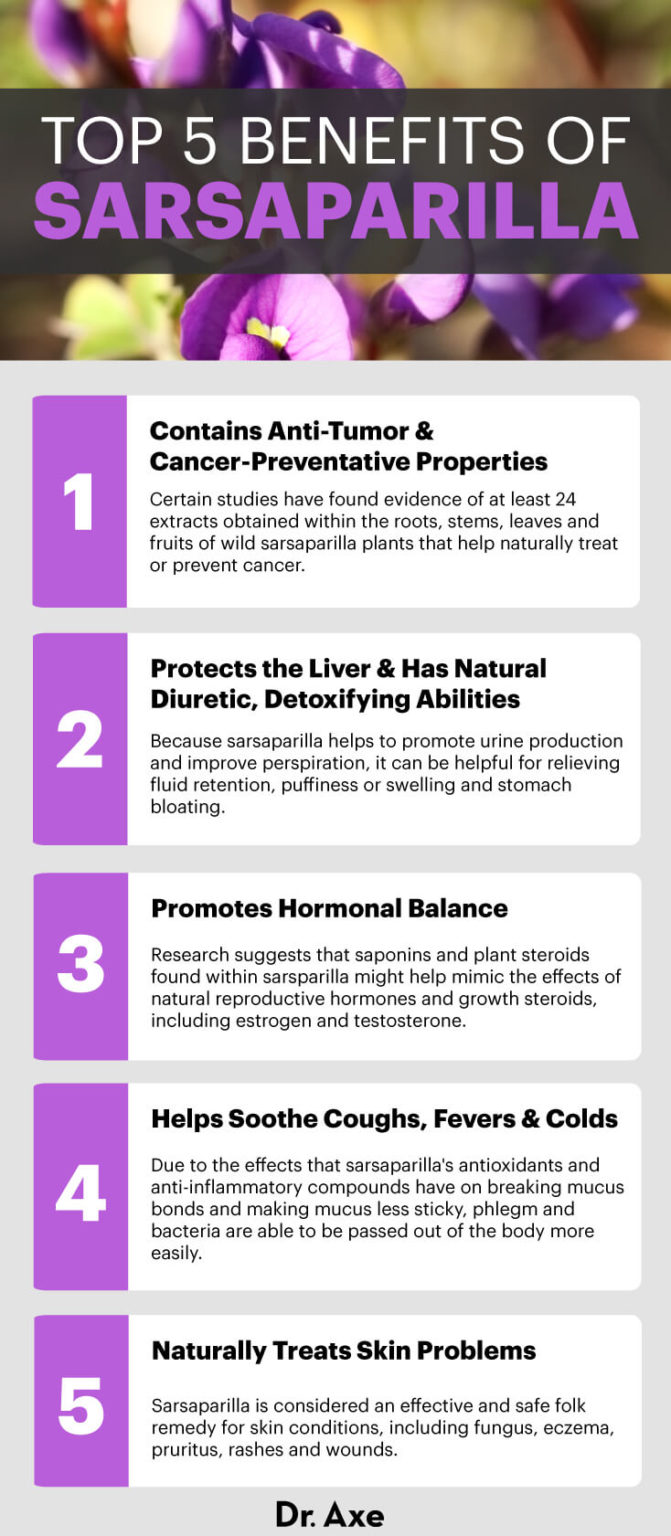 Sarsaparilla Benefits, Nutrition Facts and How to Use - Dr. Axe