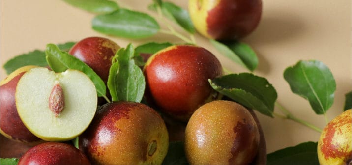 Jujube Fruit Benefits, Nutrition Facts and How to Use - Dr. Axe