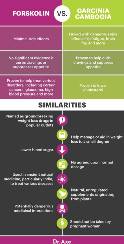 Forskolin for Weight Loss? Benefits, Uses and Side Effects - Dr. Axe