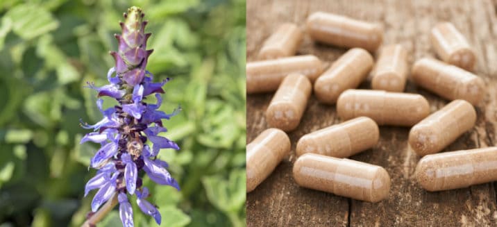 Forskolin Benefits for Weight Loss, High Blood Pressure and More - Dr. Axe