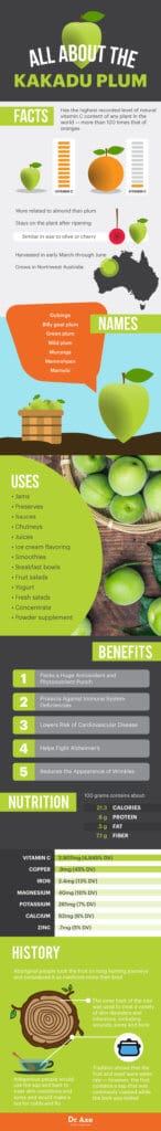 Kakadu Plum: Top 5 Benefits of this Vitamin C-Rich Fruit - Dr. Axe Kakadu Plum: Top 5 Benefits of this Vitamin C-Rich Fruit - Dr. Axe