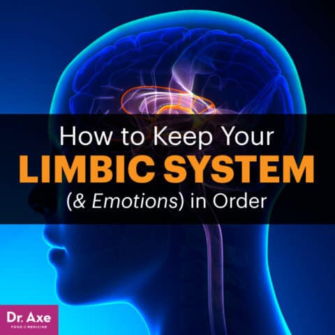 Limbic System: How Brain Anatomy Affects Emotional Health - Dr. Axe