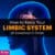 Limbic System: How Brain Anatomy Affects Emotional Health - Dr. Axe