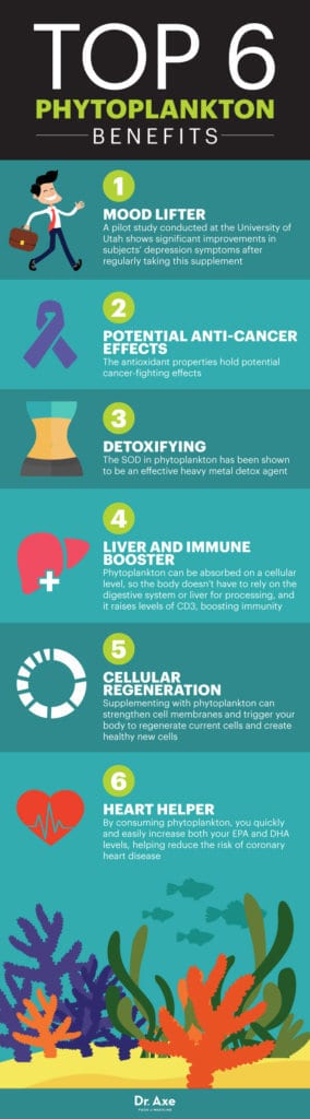 Phytoplankton Benefits, Phytoplankton Uses & More - Dr. Axe