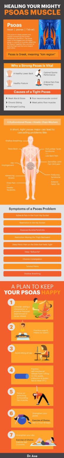 Psoas Muscle: Syndrome and How to Strengthen - Dr. Axe