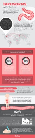 Tapeworm Symptoms, Tapeworm Treatment & Tapeworm Diet - Dr. Axe