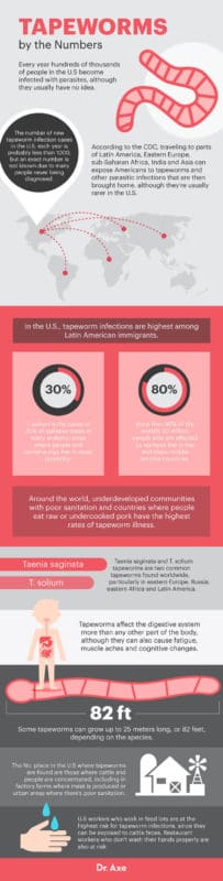 Tapeworm Symptoms, Tapeworm Treatment & Tapeworm Diet - Dr. Axe