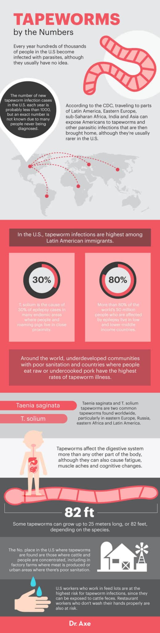 Tapeworm Symptoms, Tapeworm Treatment & Tapeworm Diet - Dr. Axe