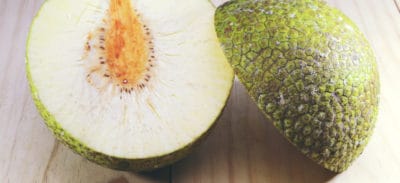 Breadfruit Benefits, Nutrition Facts and How to Use - Dr. Axe