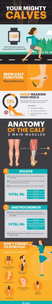 Best Calf Exercises and Stretches - Dr. Axe