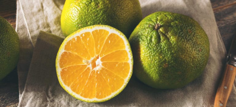 Ugli Fruit Benefits, Nutrition Facts and How to Eat - Dr. Axe