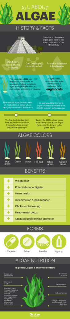 Algae Health Benefits, Nutrition and Dosage - Dr. Axe