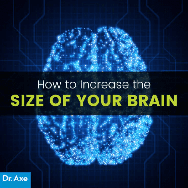 These 10 Things Literally Increase the Size of Your Brain - Dr. Axe