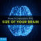 These 10 Things Literally Increase the Size of Your Brain - Dr. Axe
