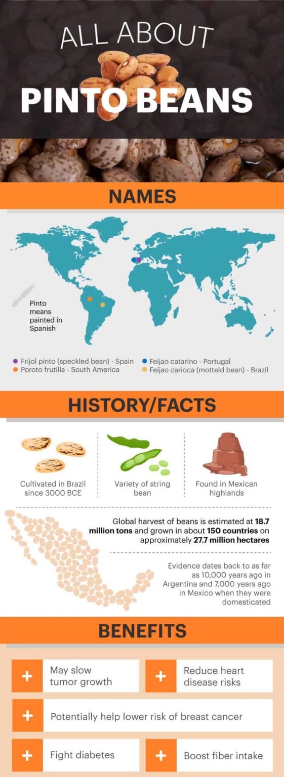 Pinto Beans Nutrition Facts, Health Benefits and Recipes - Dr. Axe