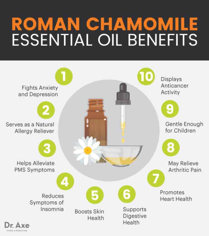 Roman Chamomile Essential Oil Benefits And Uses Dr Axe