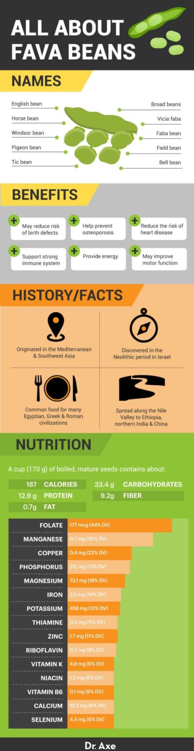 Fava Beans Benefits, Nutrition, Recipes and Side Effects - Dr. Axe