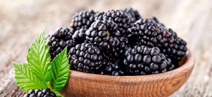 Blackberries Health Benefits, Nutrition Facts and Recipes - Dr. Axe