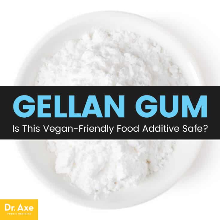 Gellan Gum Ingredients Buy Shop Www oceanproperty co th Gellan Gum Ingredients Buy Shop Www oceanproperty co th