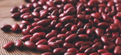 Kidney Beans Nutrition, Benefits, Side Effects and Recipes - Dr. Axd