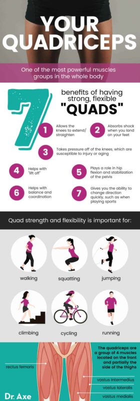 Quad Exercises And Workout For Stronger Shapely Thighs Internewscast
