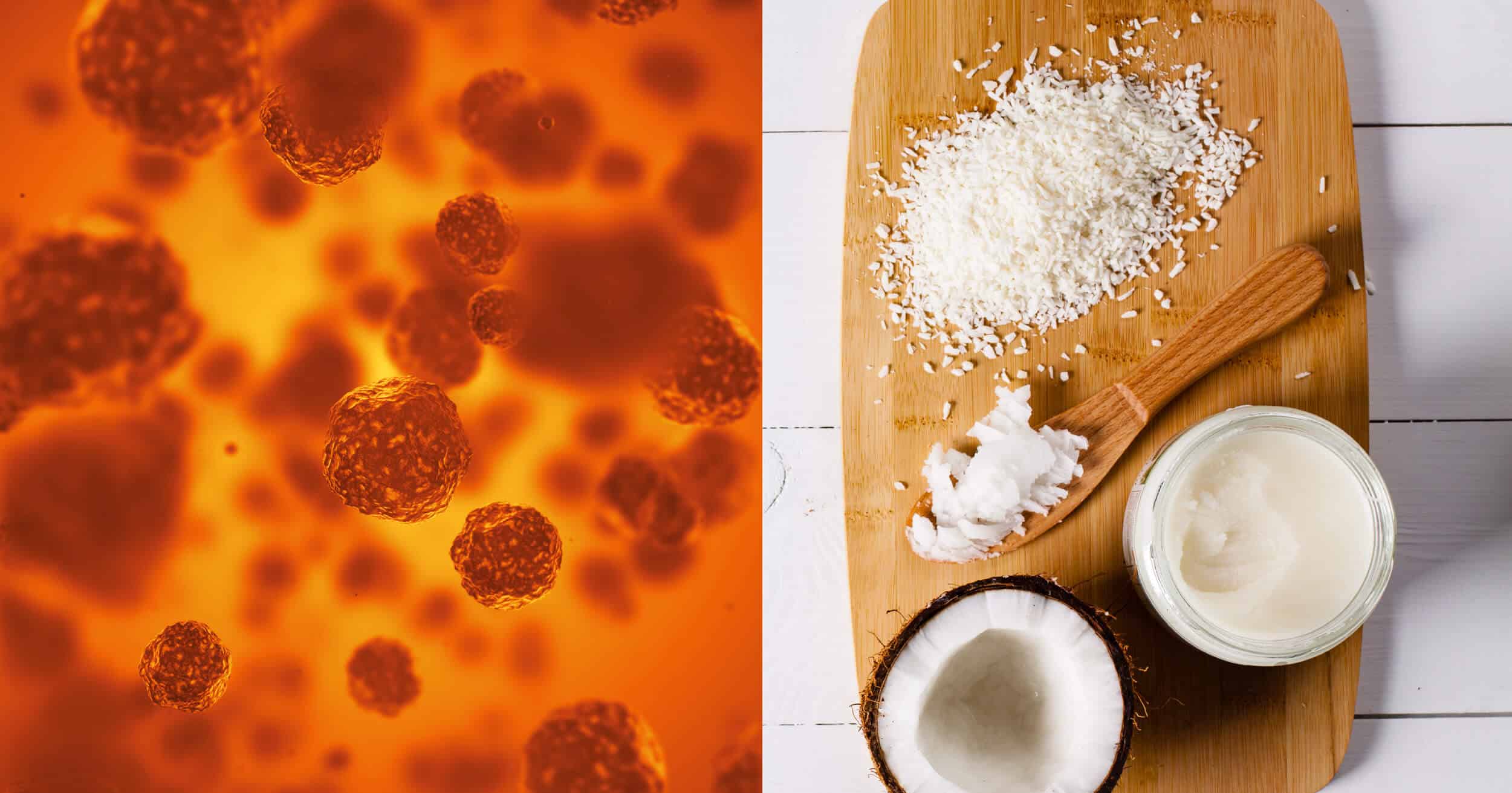 Coconut Butter Nutrition Facts, Benefits and How to Make - Dr. Axe