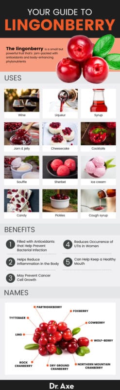 Lingonberry Health Benefits, Nutrition Facts and Recipes - Dr. Axe