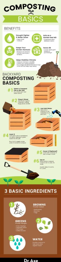 DIY Compost: Simple Steps to Make 'Black Gold' at Home - Dr. Axe