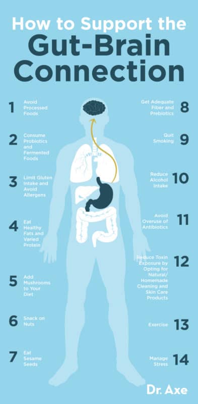 Gut-Brain Connection: How It Works and How to Support It - Dr. Axe
