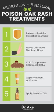 Poison Oak Rash Symptoms + 5 Soothing Natural Treatments - Dr. Axe