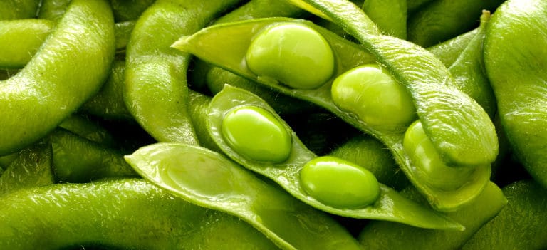 Soy Benefits, Nutrition and Side Effects - Dr. Axe