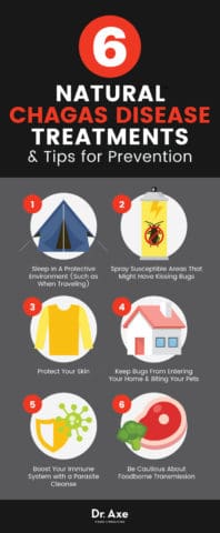 Chagas Disease Symptoms + 6 Natural Ways to Manage Them - Dr. Axe