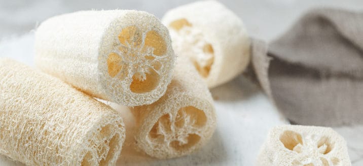 Loofah Sponge: How to Grow Your Own at Home - Dr. Axe