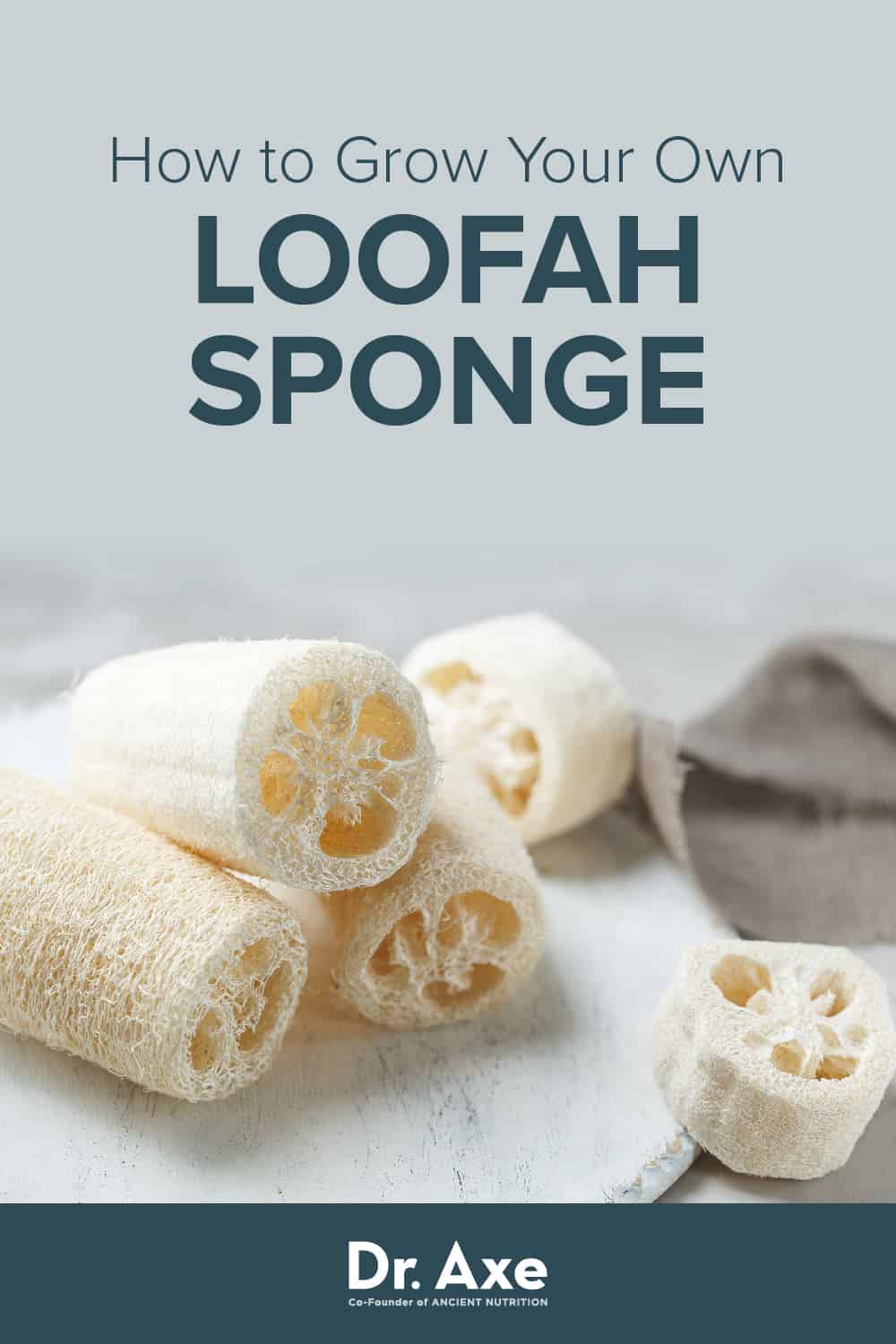 Loofah Sponge: How to Grow Your Own at Home - Dr. Axe