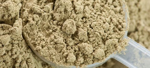 Hemp Protein Powder Benefits, Nutrition and How to Use - Dr. Axe