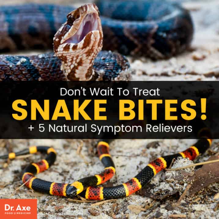 Snake Bites: Symptoms + 5 Natural Ways to Relieve Them - Dr. Axe